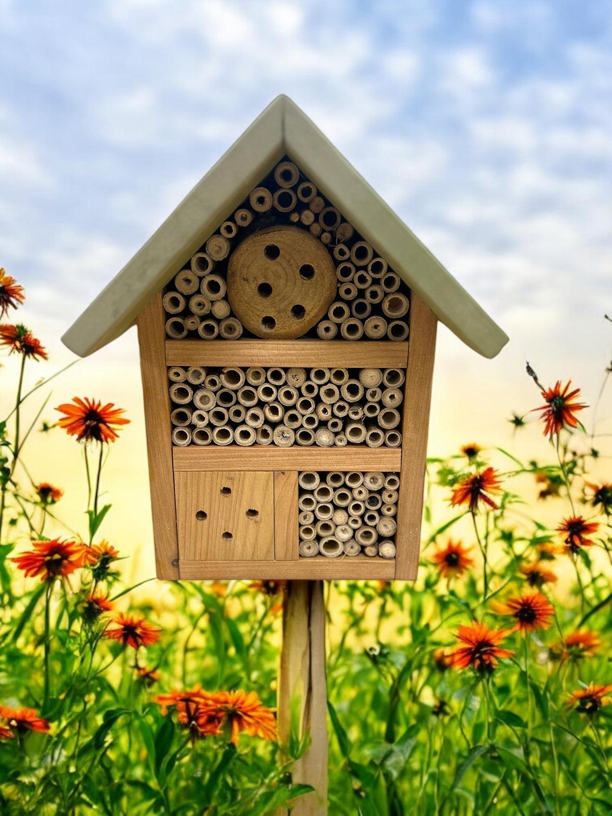 Baby Bugg Bug Hotel — wildlifeandbirdcare